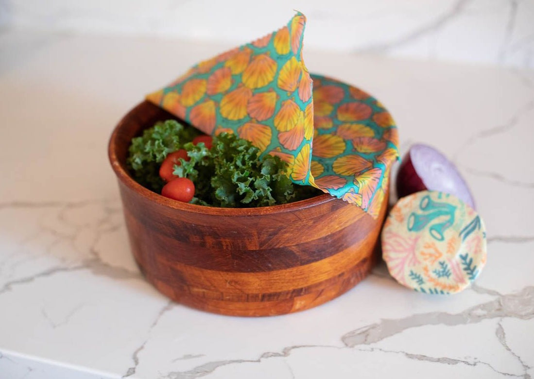 Beeswax Wrap Bulk Roll - Shells Print - Meli Wraps